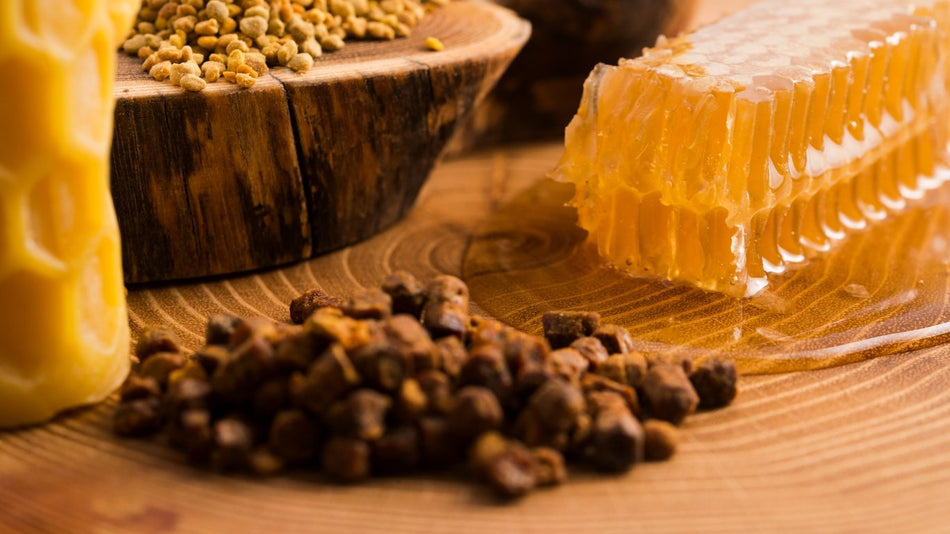 What is Bee Propolis and Why is it Good for Your Skin? – Hey Honey Beauty